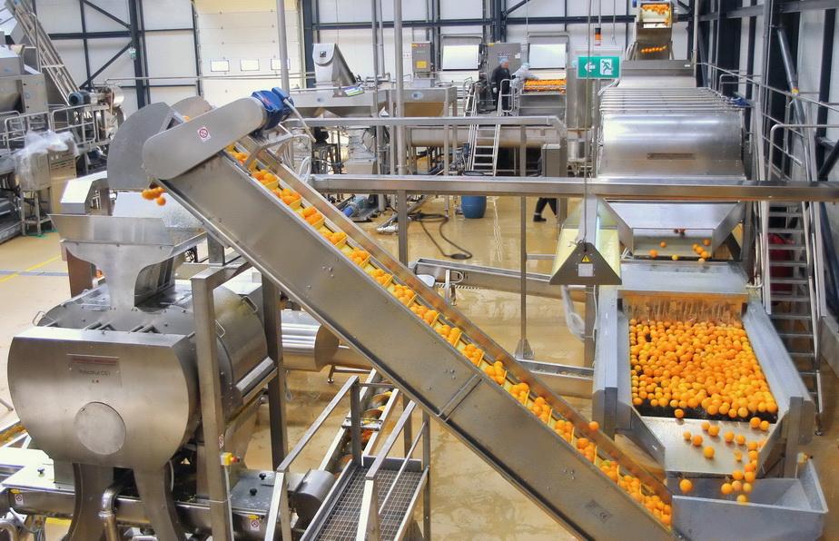 Fratelli Indelicato | Polycitrus Spellalbedo citrus juice extractor